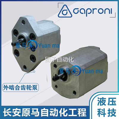 caproni齿轮泵 00C0.3 0.5 0.75 1.25 X032 033 034 045H 048W1 A