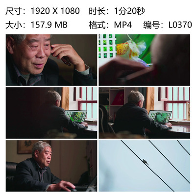 老人电脑辨花田采植观芽湖北十堰竹溪植物志第四纪冰期孑遗物种