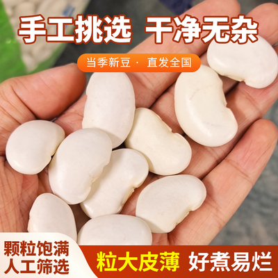 云南白芸豆新豆干货白腰豆大肾豆大白豆四季豆米批发