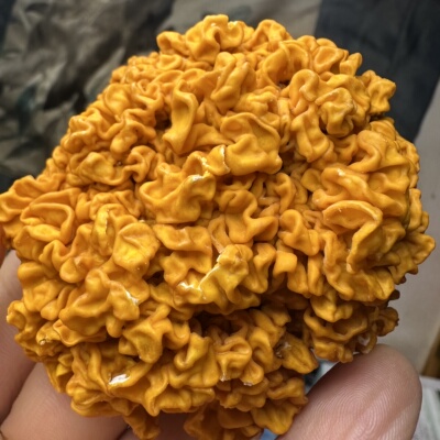 椴木金耳菌干货500g云南特产野生黄耳蘑菇新鲜菌菇食用菌煲汤食材