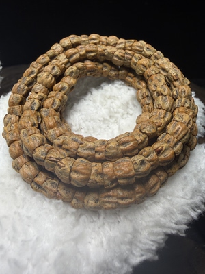 H热振柏香籽红芽鬼脸大肠红油皮高密度压手款手搓福利小肠长串
