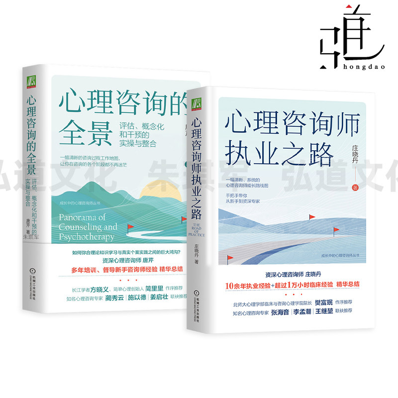 心理咨询师执业之路+心理咨询的全景-评估概念化和干预的实操与整合 庄晓丹/唐芹 工作地图 学习培训 临床积累 执业发展 个人成长