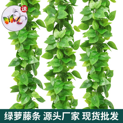 仿真藤条绿萝绿植葡萄叶枫叶藤蔓塑料管道吊顶装饰仿真植物绿叶