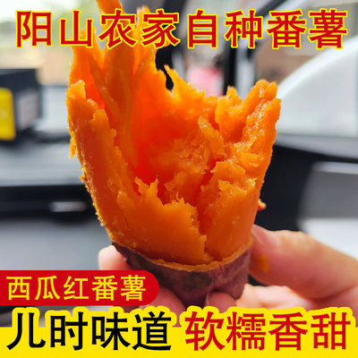 阳山农家自种新鲜粗粮