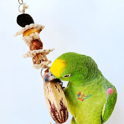 鹦鹉啃咬玩具纯天然干果Fatbird