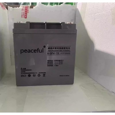 peaceful蓄电池6GFM55 NP12V120AH9A消防灯具EPS应急照明集中电源