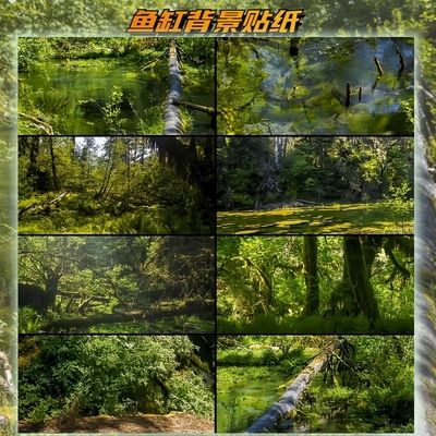 鱼缸背景贴纸5D壁纸水族箱缸专用贴画高清立体3d缸外贴鱼缸造装饰