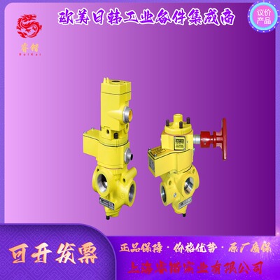 ROSS  DM2 C 系列安全排气阀，防爆DM2CDA66A21019