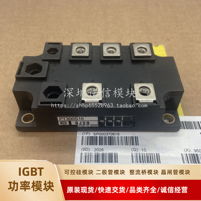 全新IGBT模块PT300S16