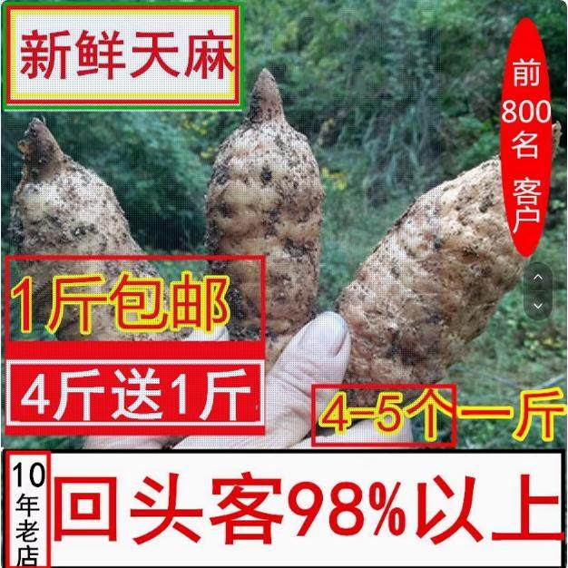 天麻非云南昭通新鲜天麻湿天麻冬麻 新鲜天麻天麻片天麻粉1份包邮
