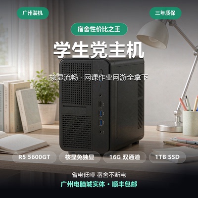 R55600GT独显1TBSSD学习主机
