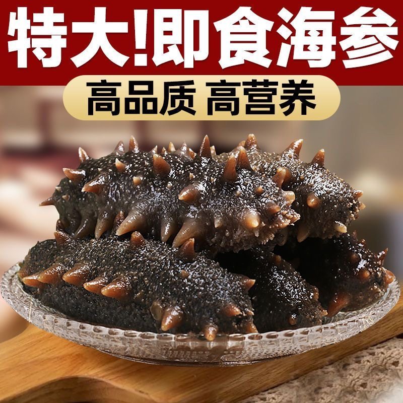 大连即食海参辽刺参新鲜海参海鲜水产海参非干海参特大号即食水产