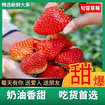 正宗句容白兔奶油红颜草莓十四年老店顺丰包邮甜香孕妇水果3斤装
