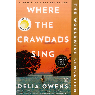 现货英文进口原版小说电影原著