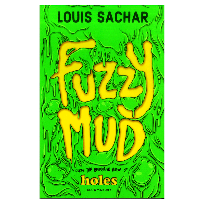 现货英文进口纽伯瑞读物课外阅读