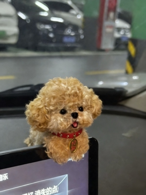 车搭子马尔泰车摆件小玩偶车载氛围感好物中控摆件钥匙扣挂件泰迪