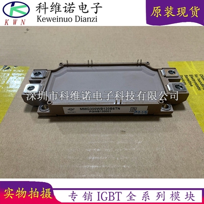 MMG300WB120B6TN MMG225WB120B6TN MMG300WB170B6EN 450WB120B6TN