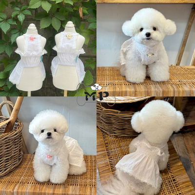 韩代宠物花朵蕾丝白色吊带连衣裙