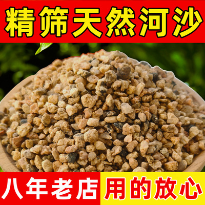 粗河沙君子兰养花专用河沙植物专用沙子火山石营养土鱼缸造景底砂