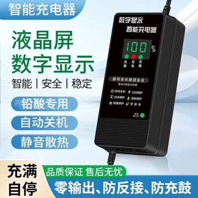 36V铅酸电池电动车充电器36V12AH20A36伏50AH36V40AH电瓶快充通用