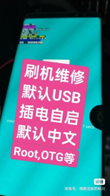 三星S8,S8+,S9,S9+,Note8刷机root面具9系精简rom默认usb权限自启