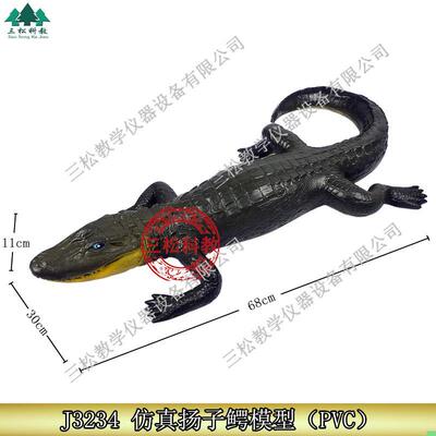 3234仿真扬子鳄模型 珍稀动物模型 生物标本科普教学仪器