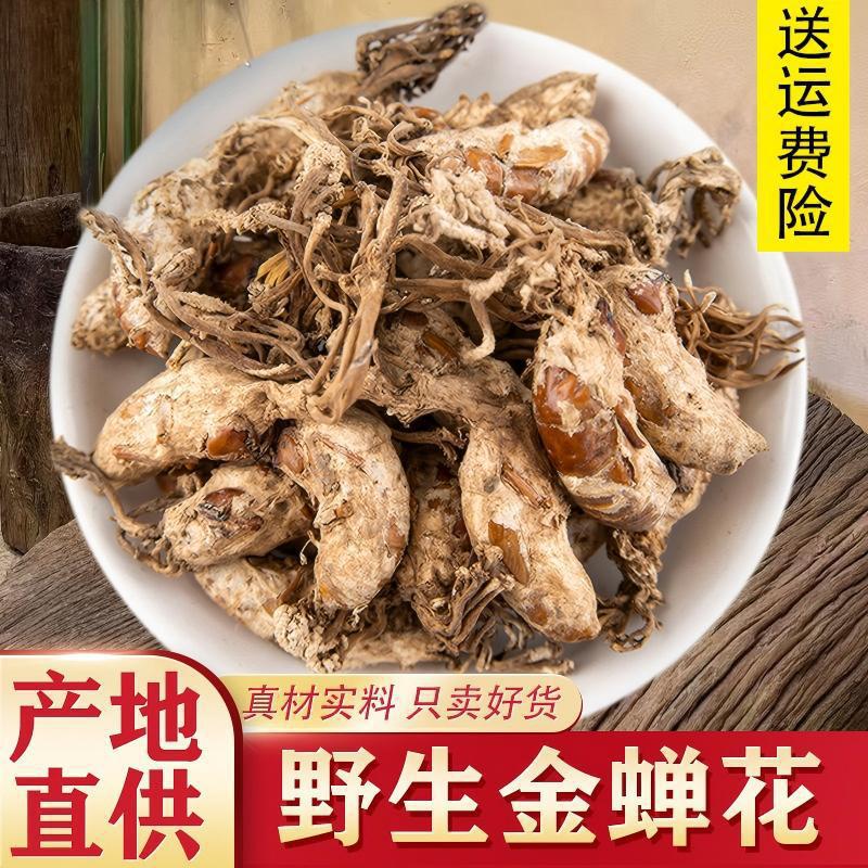 金蝉花野生100g精选蝉花虫草孢子粉旗舰店金婵花金蚕花知了花禅花