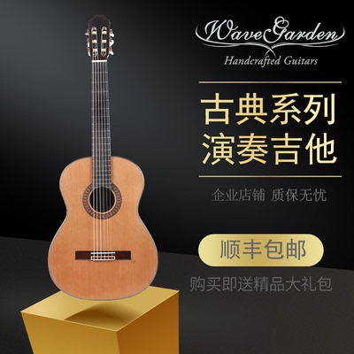 Wavegarden声音花园古典吉他演奏