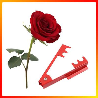Rose Plier Removing Burrs Garden Tool Flower Cut Tool