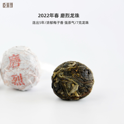吃茶哥临沧茶区浓郁梅子香强茶气