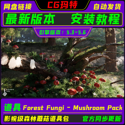 UE5.3-5.6 Forest Fungi - Mushroom Pack 虚幻 森林真菌蘑菇包