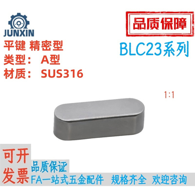 平键精密型316A型BLC23