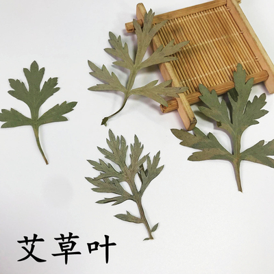 艾草叶艾叶diy干花贴画装饰画框押花儿童手工压花树叶中草药标本