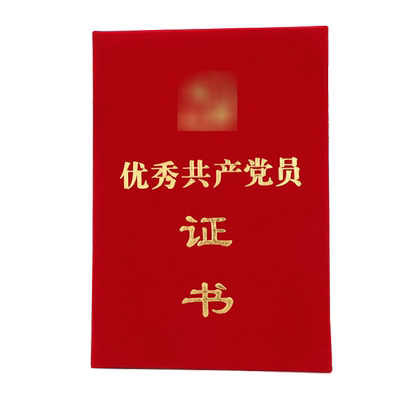 启恒优秀党员证书表彰先进工作者