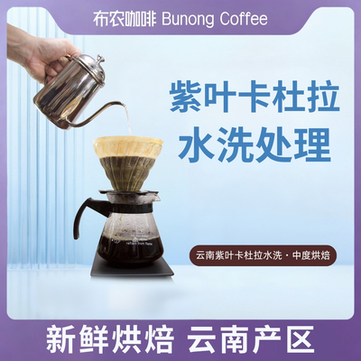 BUNONG布农云南小粒咖啡豆铁皮卡日晒精品