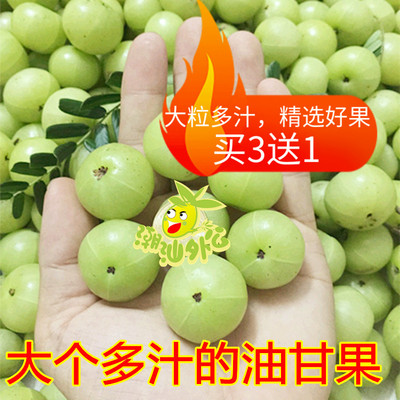 现摘潮汕新鲜油甘果孕妇水果