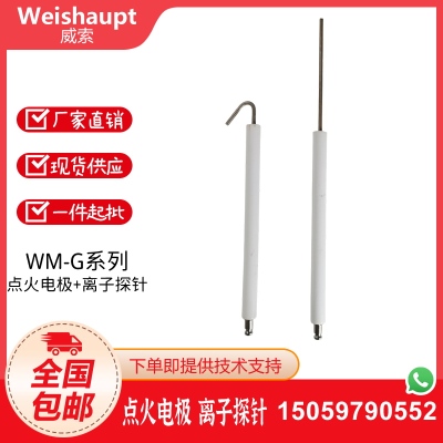 Weishaupt威索WM-G20 WM-G10 WM-G30 WM-G40点火电极 离子探针