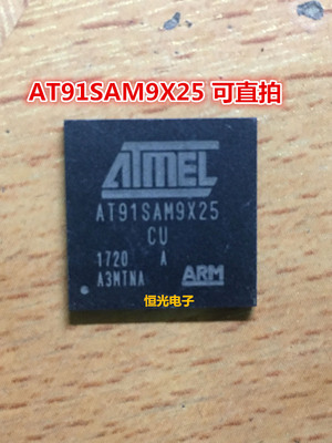 全新 AT91SAM9X25-CU AT91SAM9X25 BGA217 芯片微控制器 可直拍