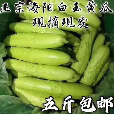 山东海阳新鲜鲜嫩蔬菜5斤水果