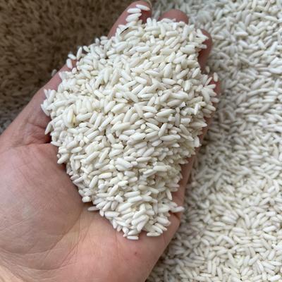 海阳大米海阳海边盐碱地种植晚茬沽头稻香米当季新米10斤包邮