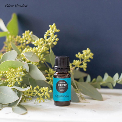清爽蓝桉树单方精油EdensGarden