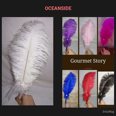 中号 鸵鸟毛笔 羽毛笔 婚礼签到笔 （进口油漆笔不可替换笔芯）