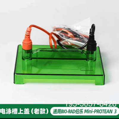 议价Bio-Rad伯乐Mini-PROTEAN 3 卡槽电极芯固详谈