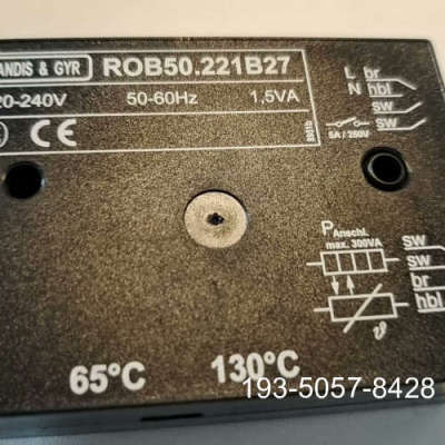 原装正品ROB50.221B27温度控制器价格详谈
