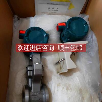 询价RAMC01-A1SS-54M1-T91NNN/BG/SD横河金属管浮转子流量计AXF05