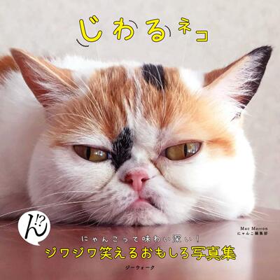 【预售深图日文】じわるネコ 猫咪摄影集  Ｍａｃ Ｍａｒｒｏｎ／著 萌宠写真  にゃんこ編集部 ロングランドジェイ 日本进口书籍