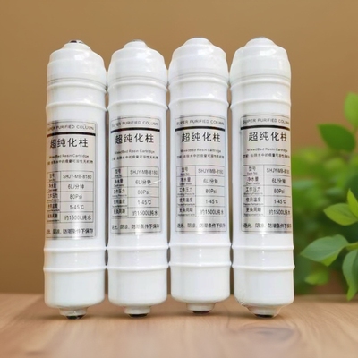 10寸超纯化柱18实验室UP纯水柱