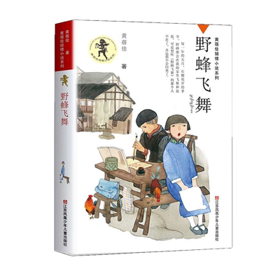 野蜂飞舞黄蓓佳倾情小说系列