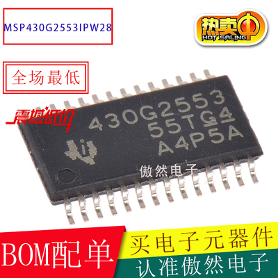 TIMSP430G2553IPW28微控制器MCU