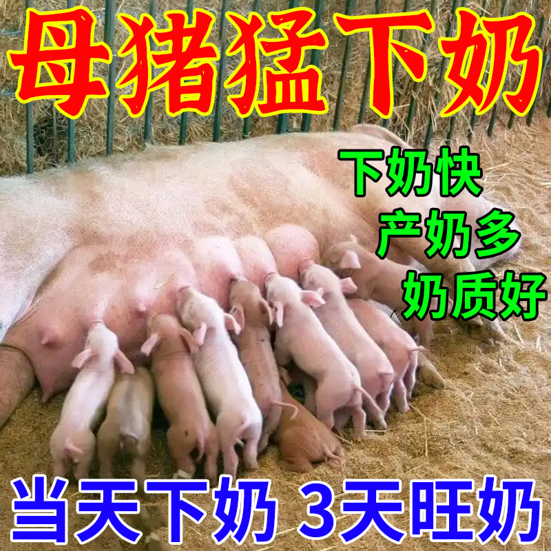 兽用奶多多奶妈母猪催奶产奶催乳增奶猪牛羊畜用饲料强力催奶下奶